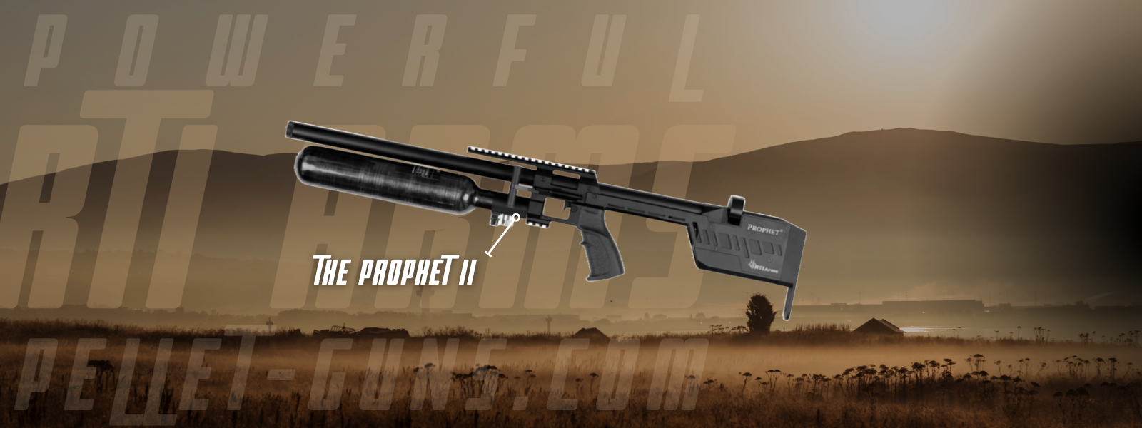 Pellet-guns.com | SA's #1 Air Rifles, Air Pistols, Ammunition & Access ...